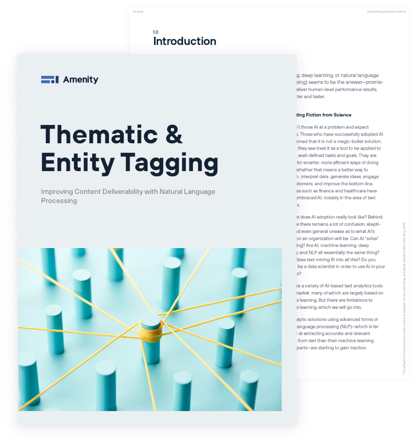 Amenity Analytics Using Nlp For Thematic And Entity Tagging Amenity Analytics
